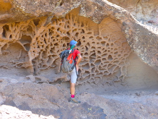 Los taffonis – Ventana Verde