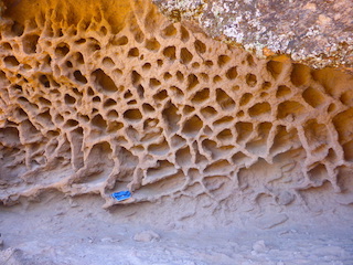 Los taffonis – Ventana Verde